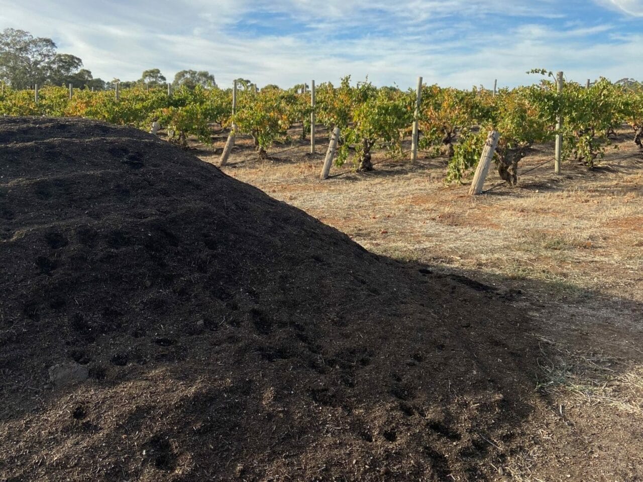 Jeffries Organic Compost for Horticulture - Jeffries