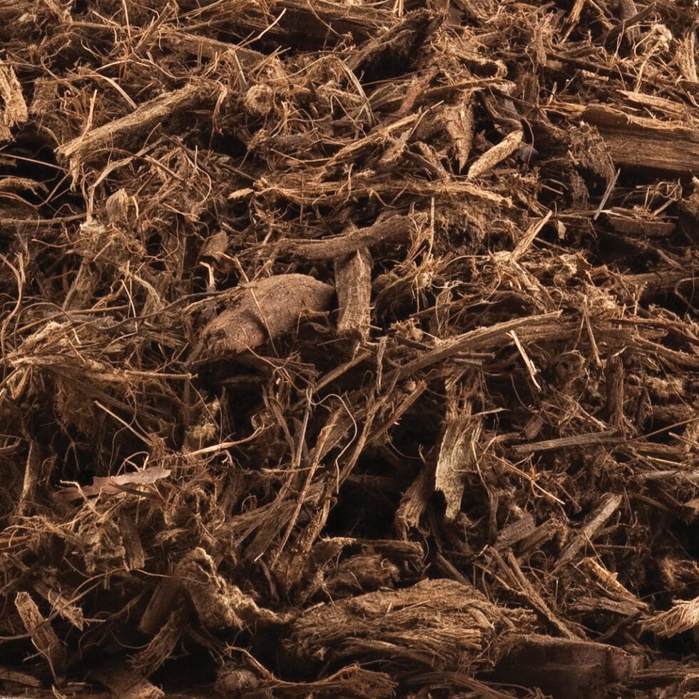 Horticulture & Viticulture - Jeffries